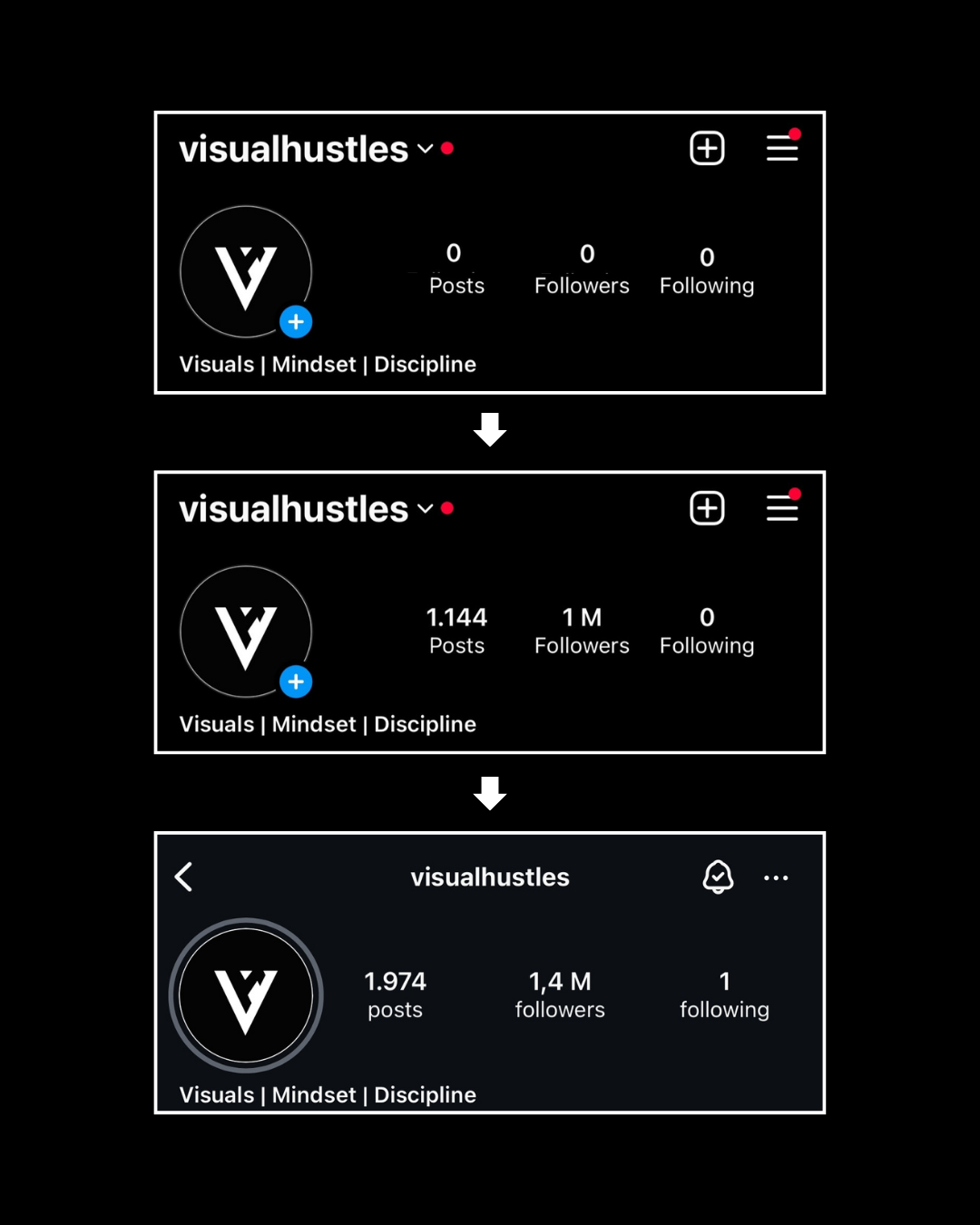 Visuals Mastery: Learn How To Create Visual Posts Best Method