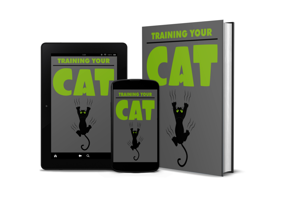 Training Your Cat.