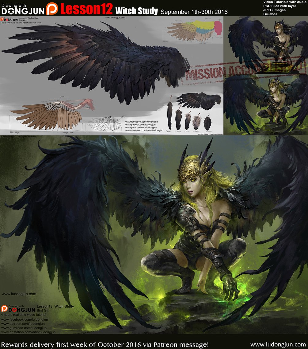 Lesson13_Witch Study