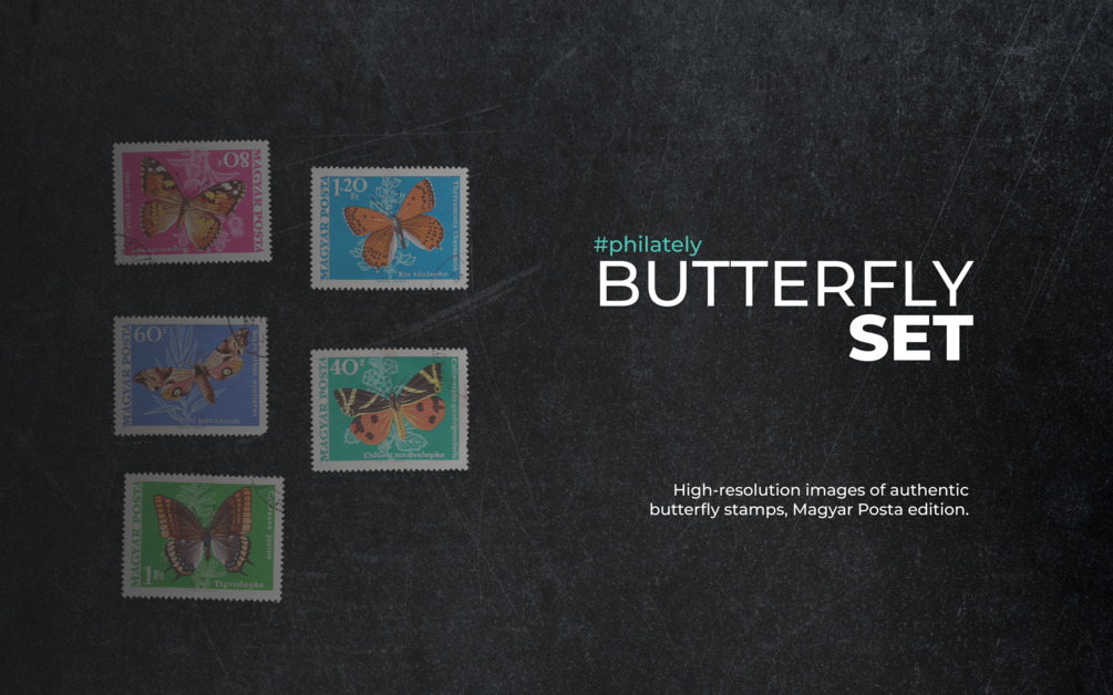 Butterfly Stamps Resource
