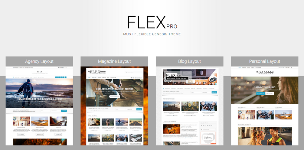 Flex Theme - Developer License