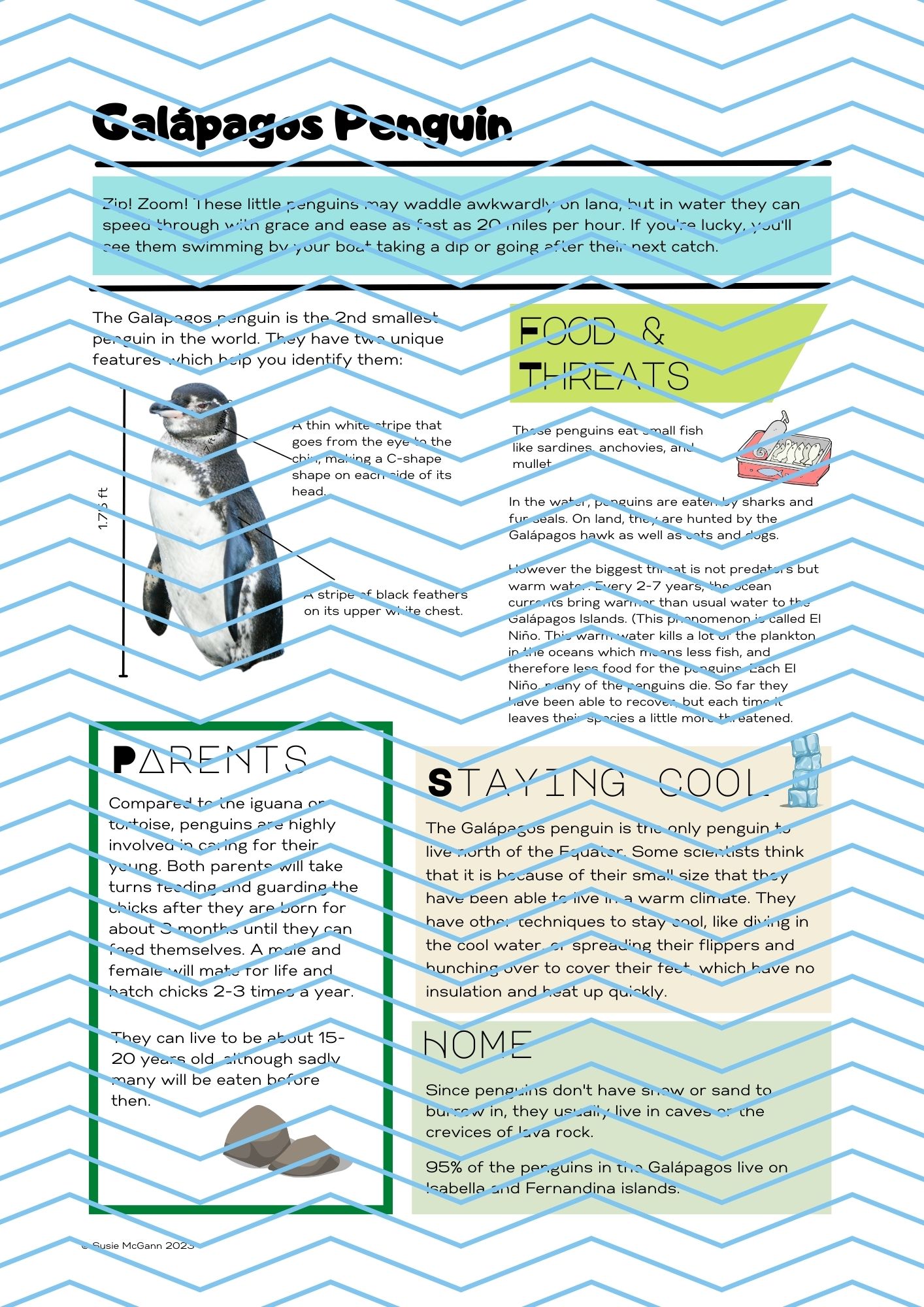 Galápagos Islands Activity Book for Kids