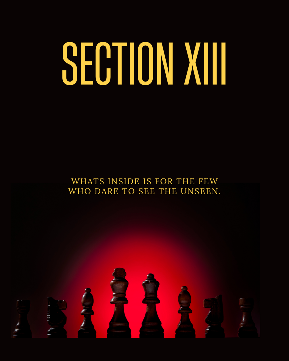 SECTION XIII