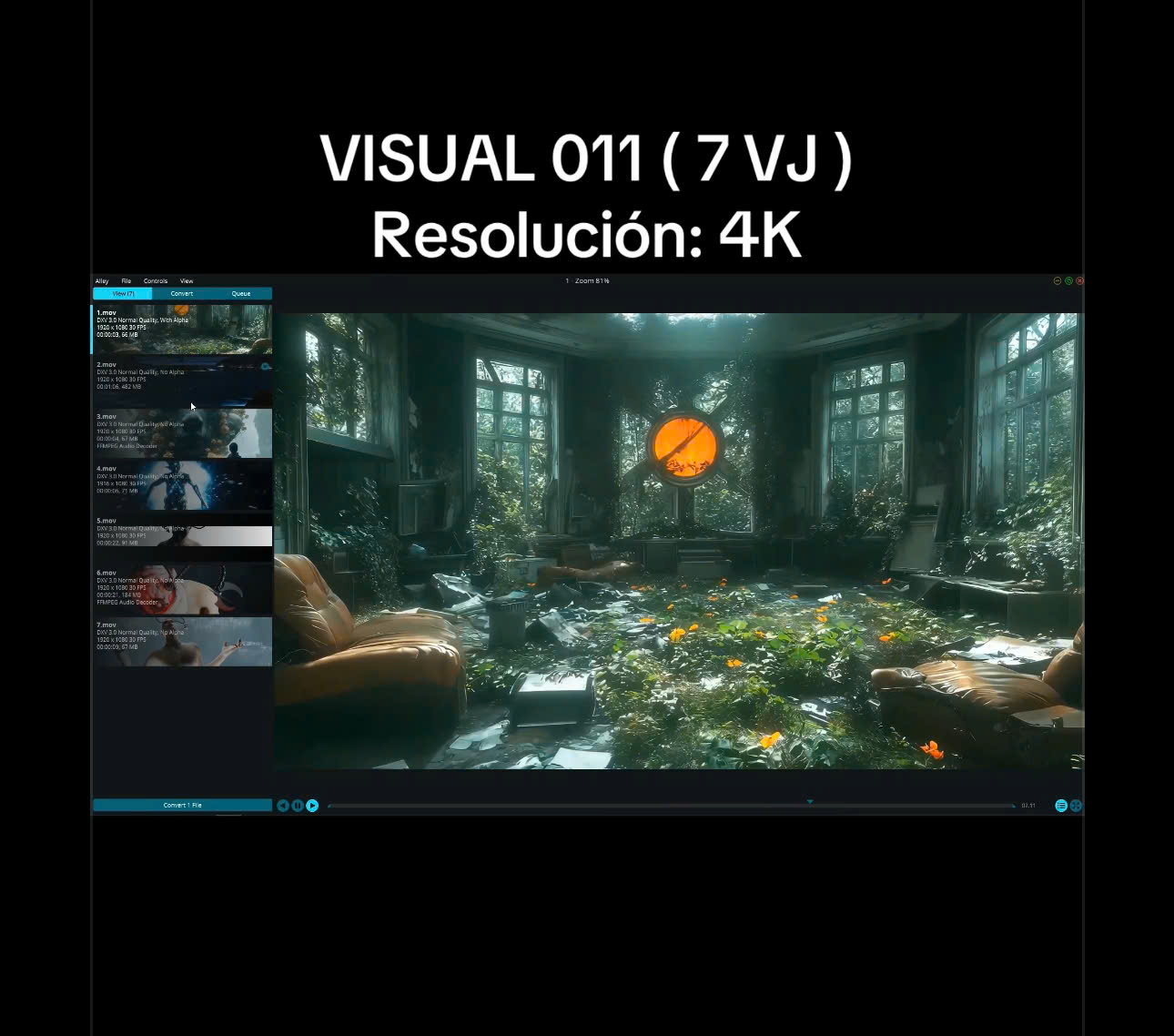 VISUAL 011 4K ( 7VJ )