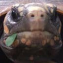 Mikey (rig for maya)