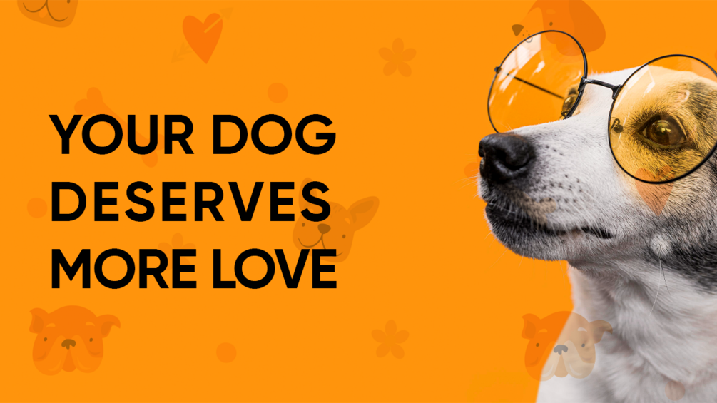 Mastering Dog Training - 7 Undisputed Techniques That Work