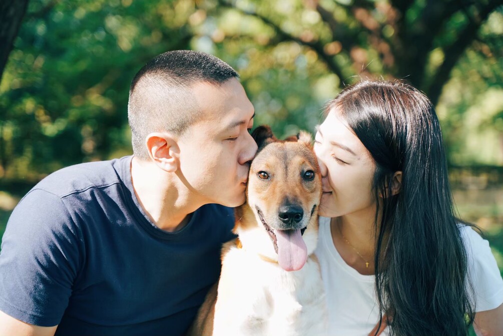 Pet/Dog photography composition template - use it instantly and get a ...