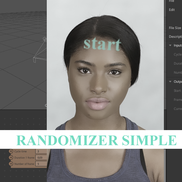 Randomizer Simple Patch