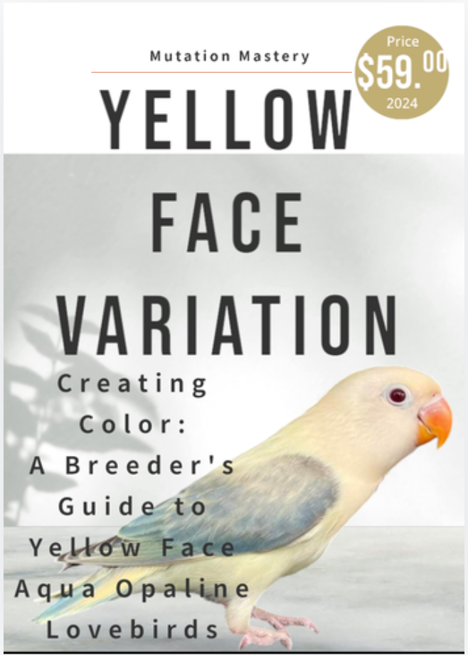 Mutation Mastery : Yellow Face Variation