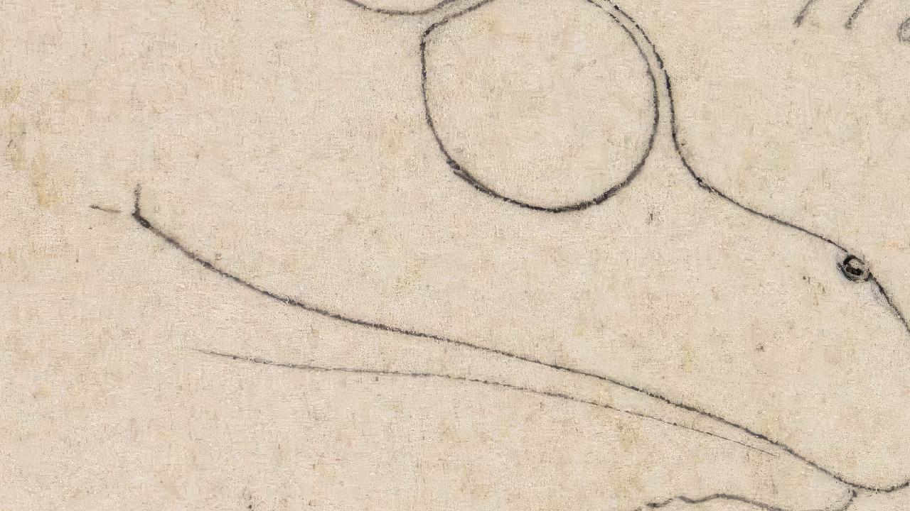 Growling Grass Frog, Litoria raniformis by Arthur Bartholomew