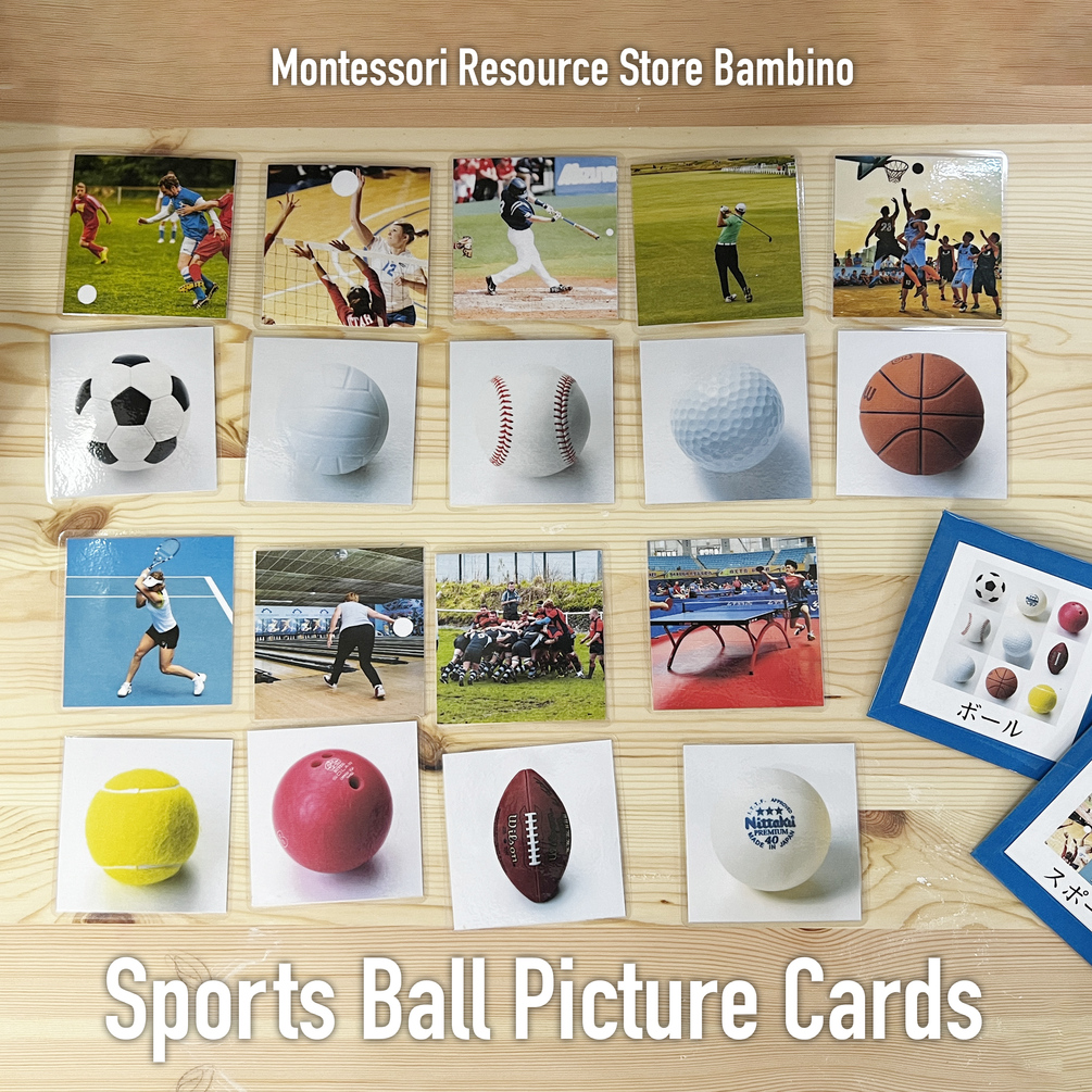 Sports and Ball Matching Cards