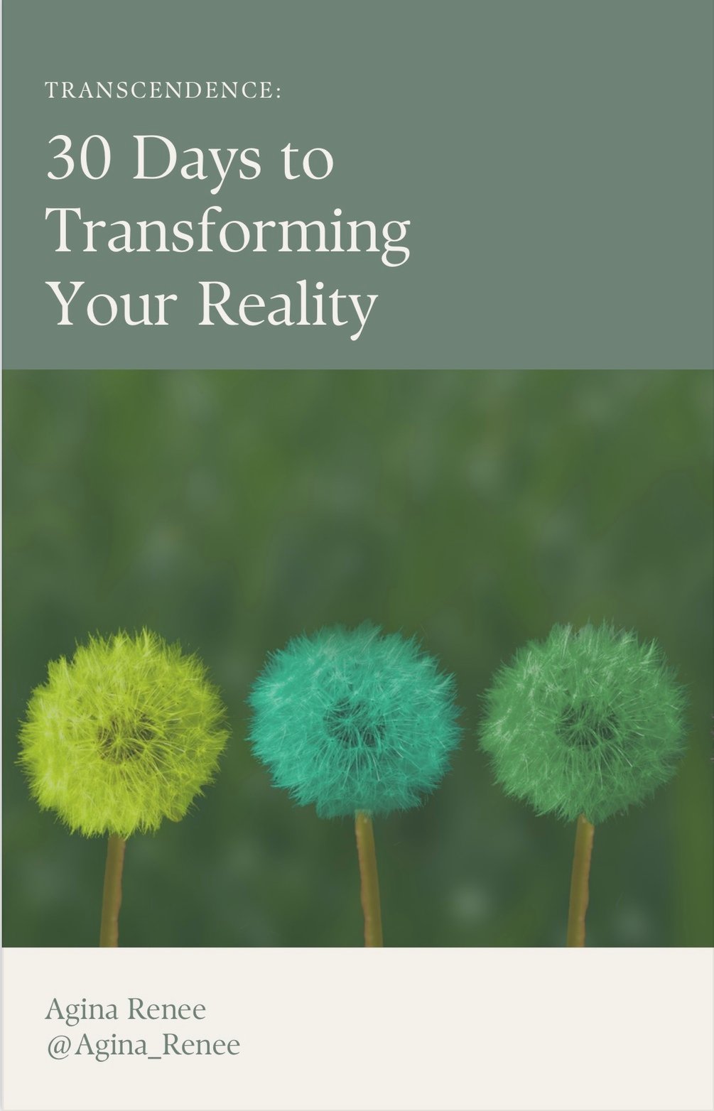 Transcendence: 30 Days to Transforming Your Reality