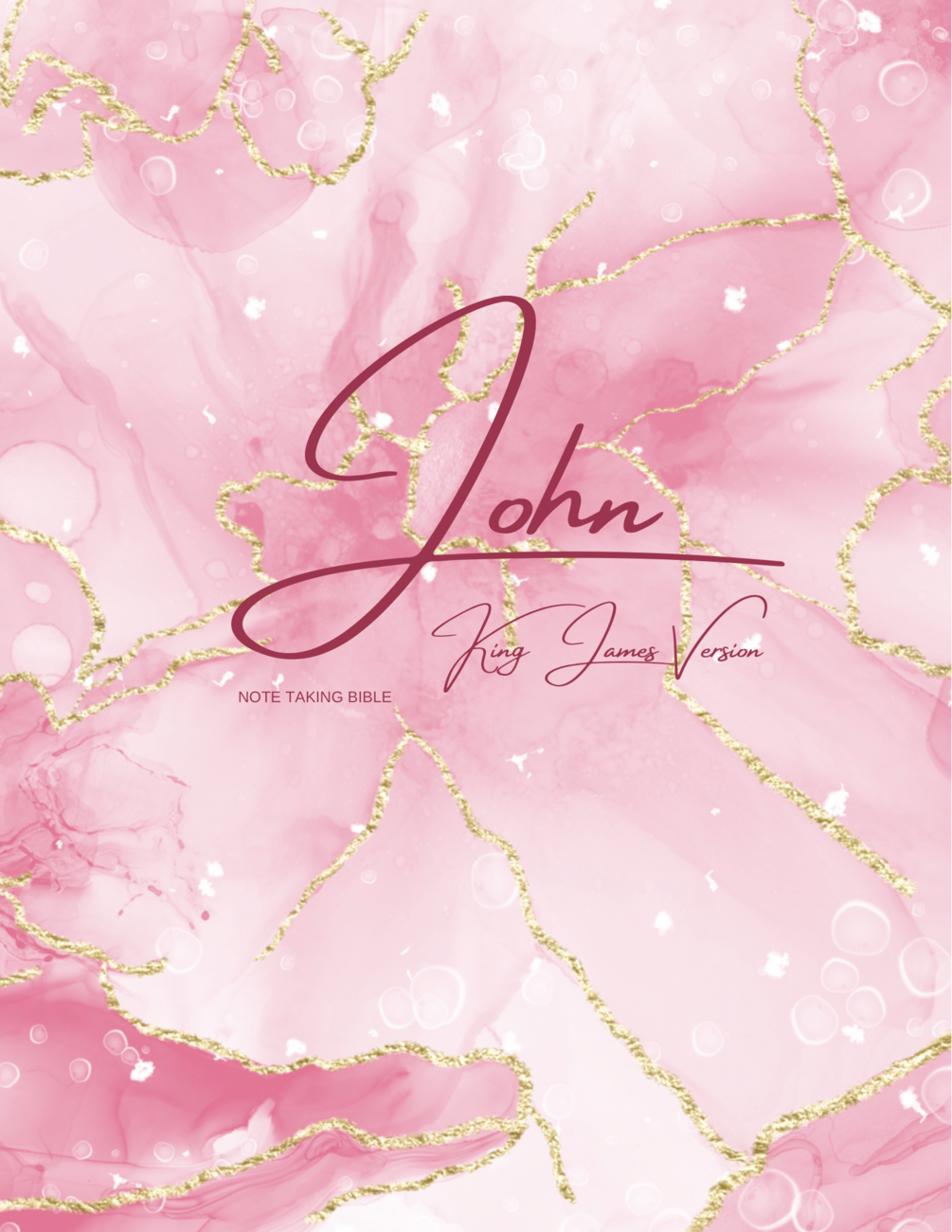 BOOK OF JOHN: NOTE TAKING BIBLE