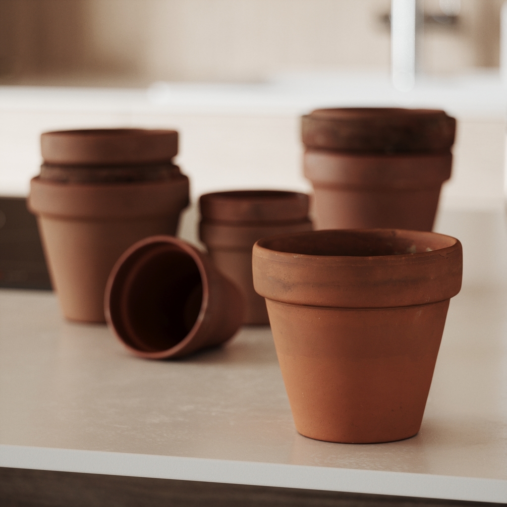 Clay Pot 06