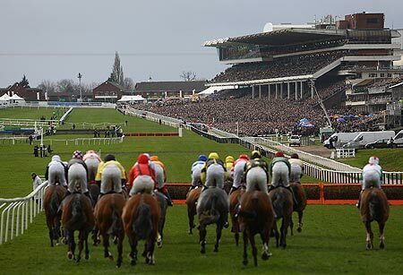 Cheltenham Festival 2020 Review (+ Christmas 2020 Racing Review)