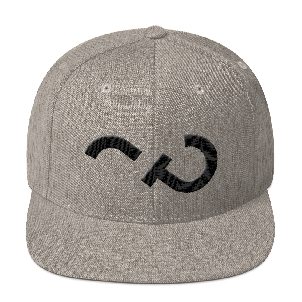 Dark Logo Snapback