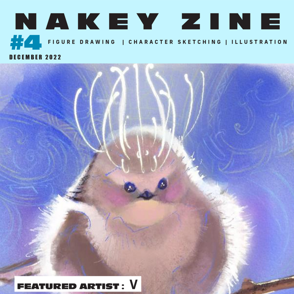 Nakey Zine Vol 4: Figure Drawing , Character Sketching , Illustration