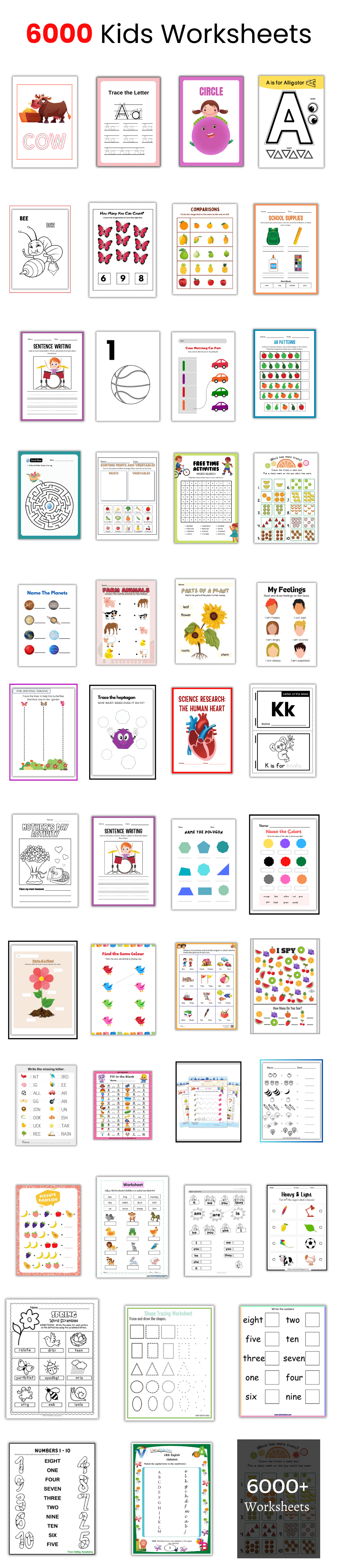 Kids Learning Worksheet