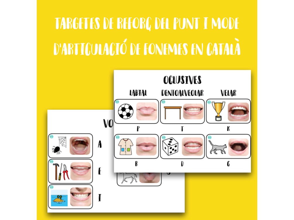 CAT: Targetes d'articulació de fonemes en català