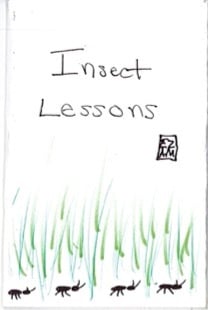 Insect Lessons printable zine