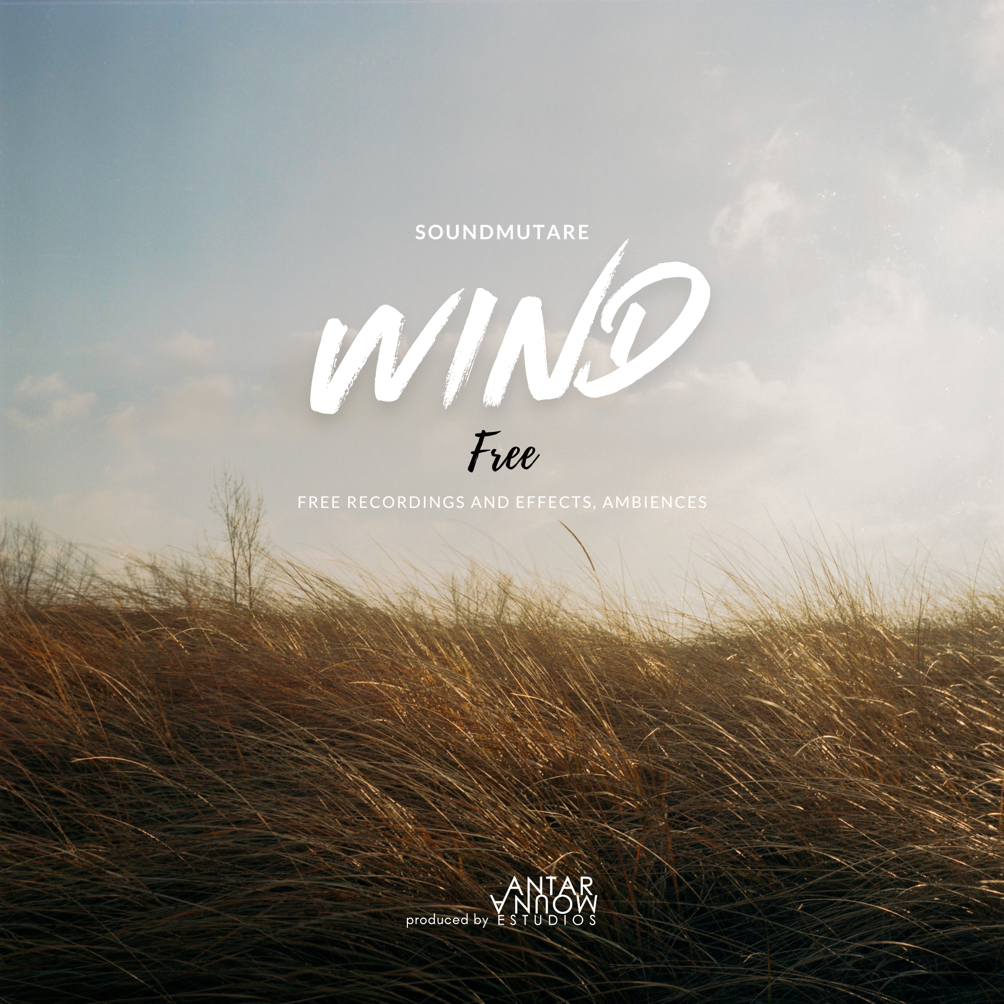 Wind