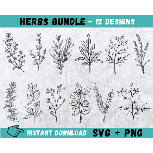Herbs Svg, Herbs Cricut, Herb Svg, Herb Leaves Svg, Thyme Svg, Kitchen ...