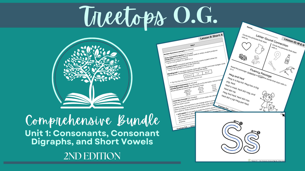 NEW!! Unit 1: Consonants, Digraphs & Short Vowels: Orton Gillingham Bundle