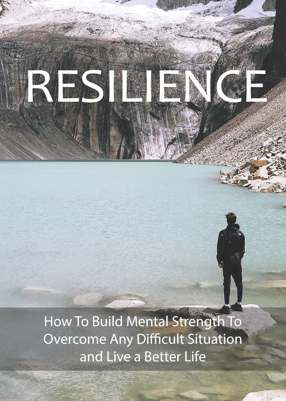 Resilience (PDF)
