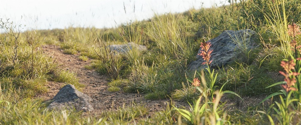 Grass Medium Models