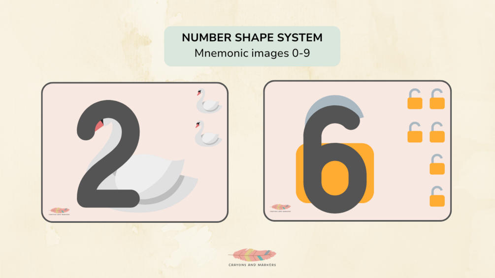Number shape system