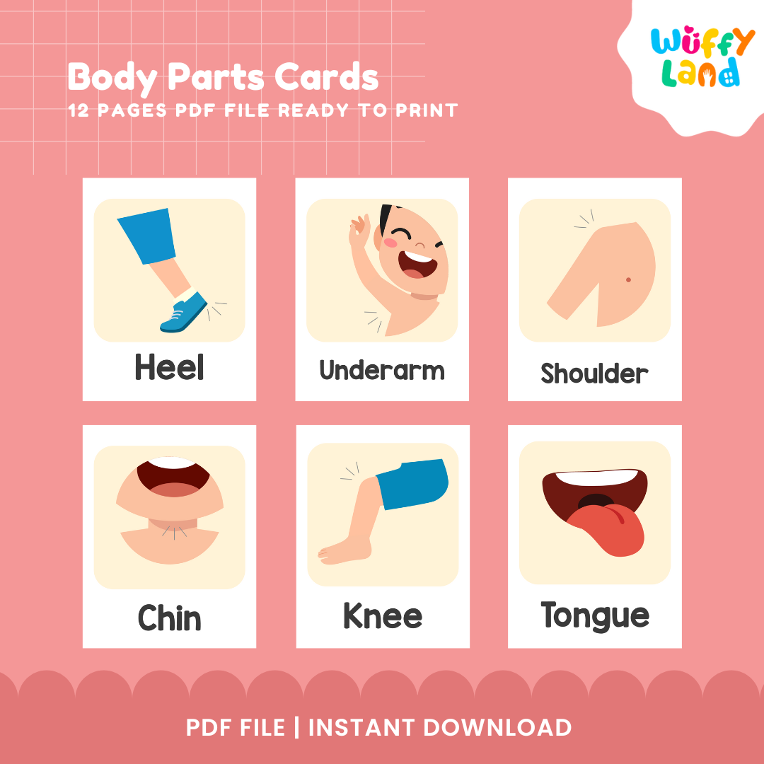 Body Parts Cards, Flashcard Body Part, Printable Montessori, Image ...