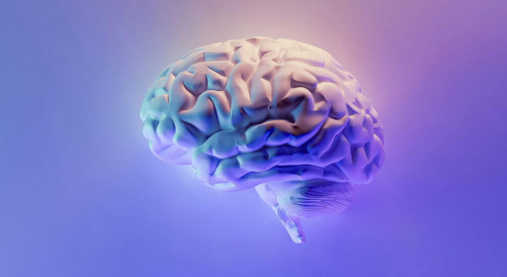 100 Unique Headlines To Build Your Brand & Rank Your Website