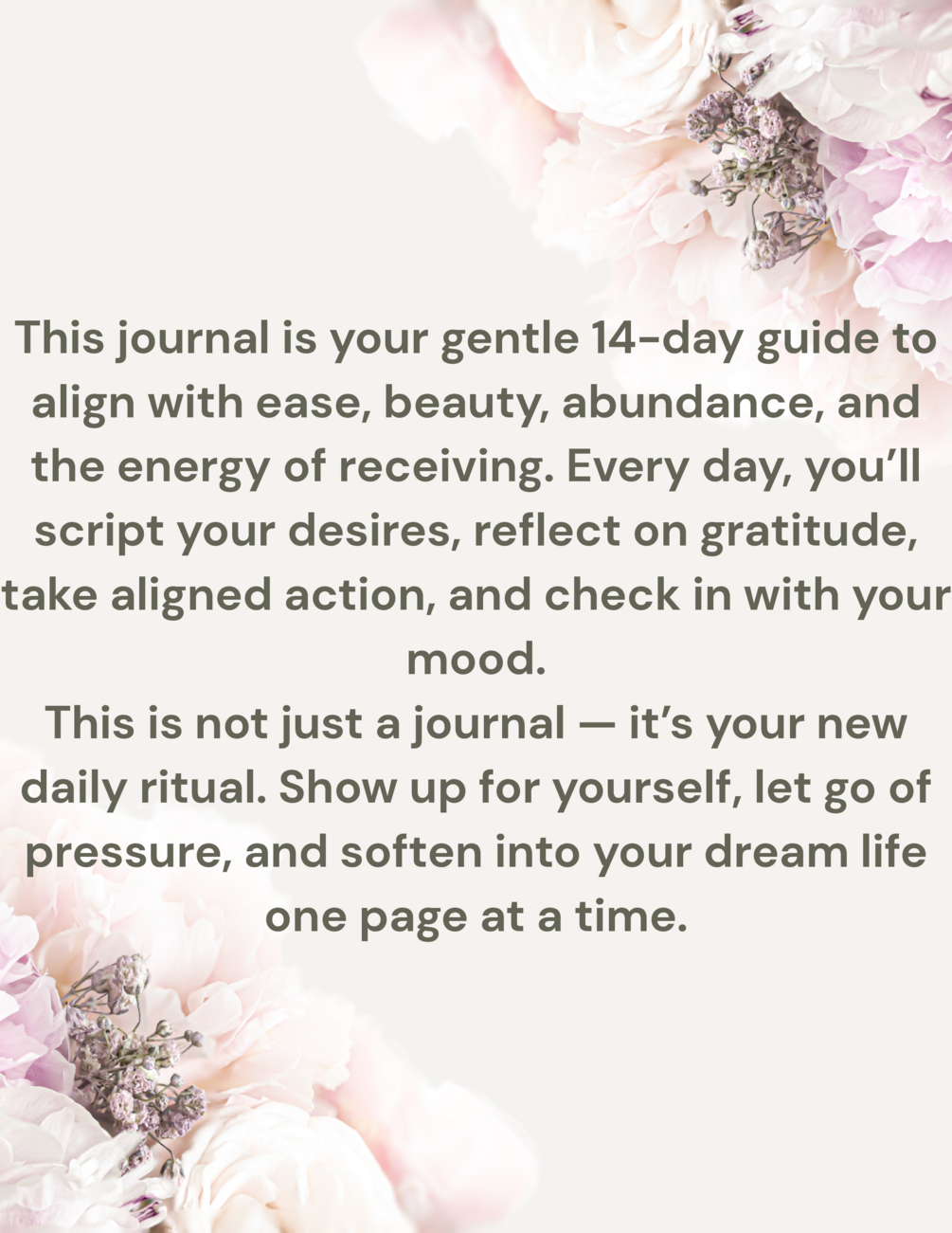 Soft life starter pack:14 day Scripting Journal