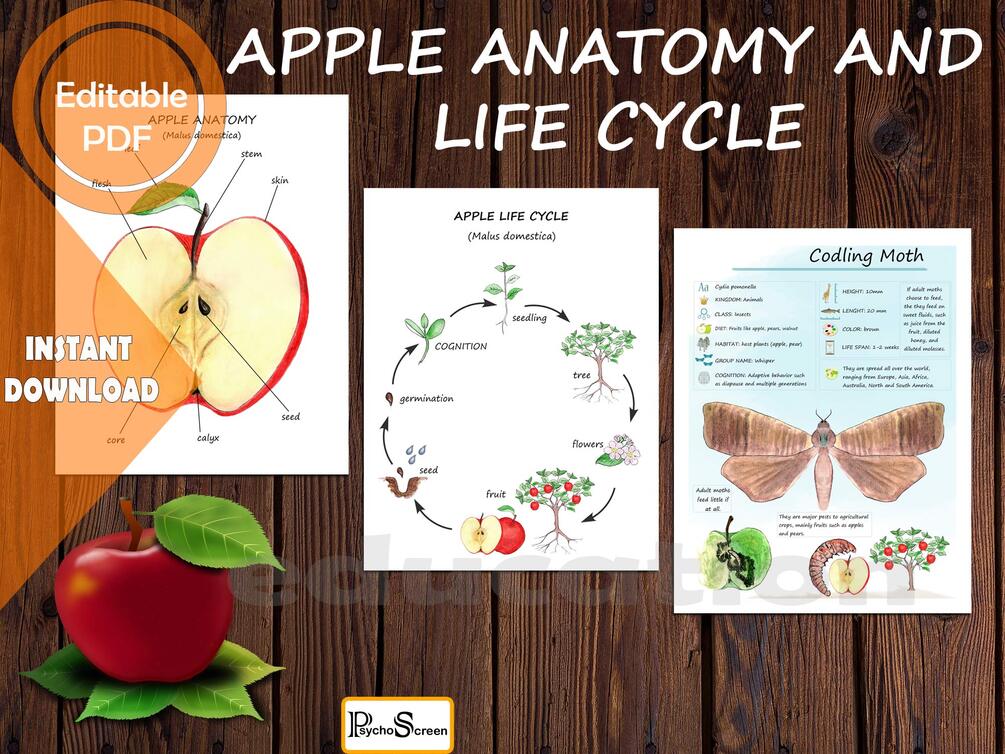 APPLE unit study, anatomy, life cycle and MOTH poster