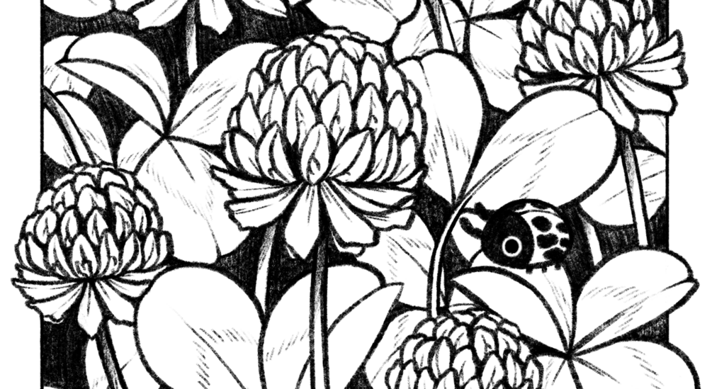 Clover & Ladybug Coloring Page!