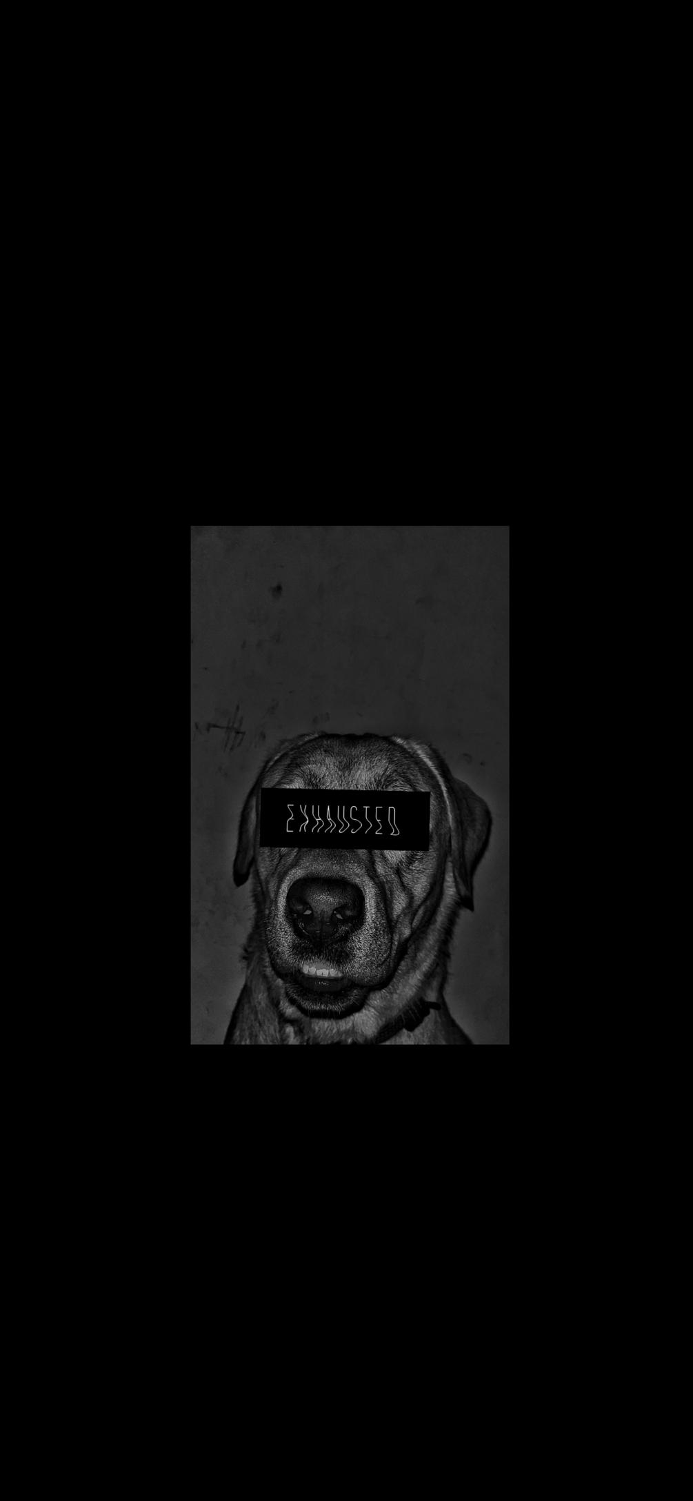 Goofy The Dog Wallpaper