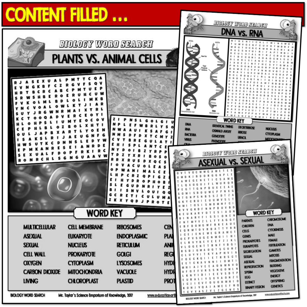 Biology Word Search Puzzle Activity Bundle