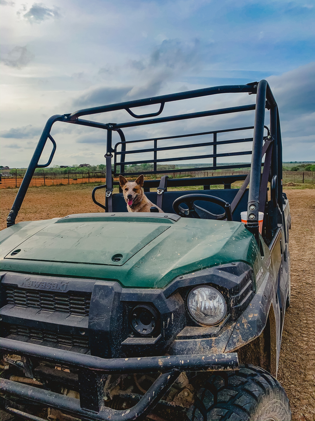 Little Sure Shot Preset Pack