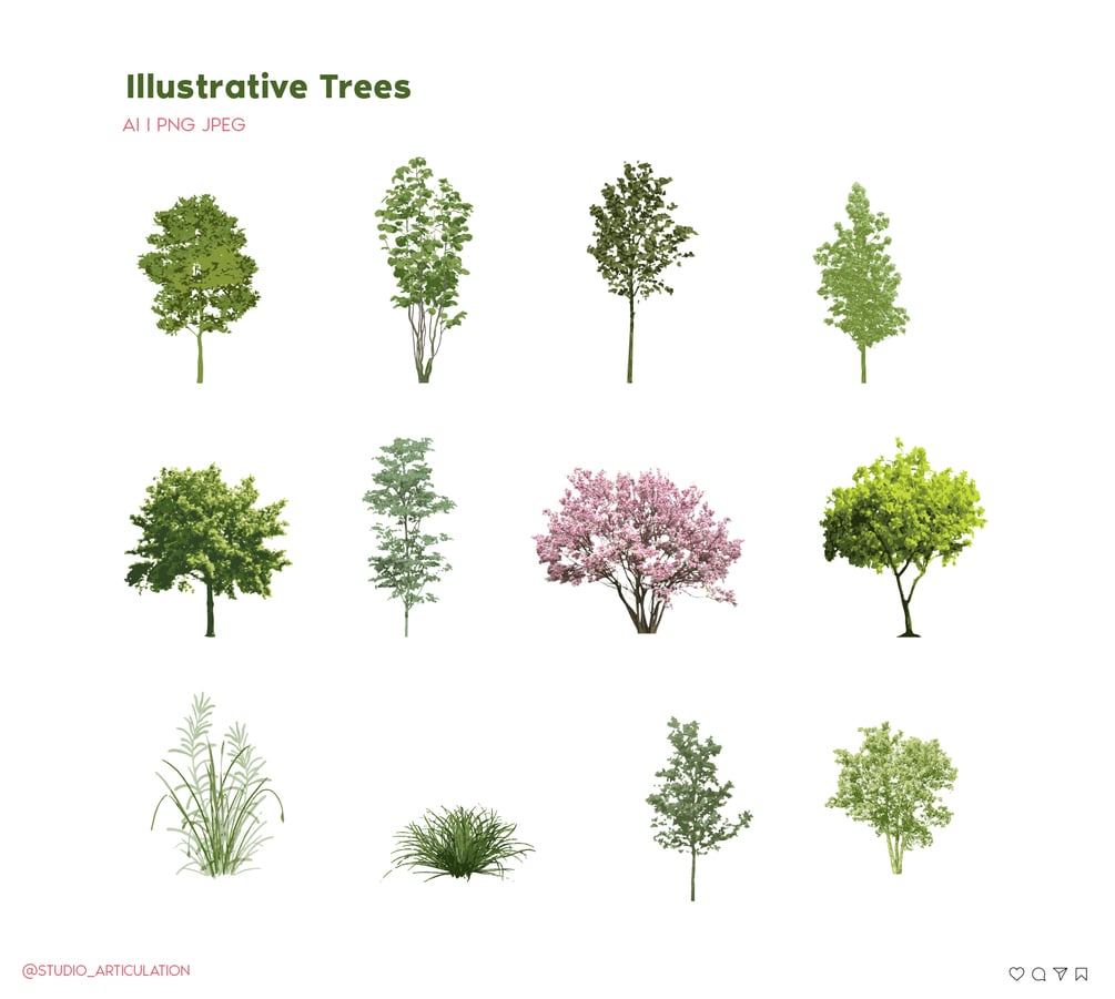ILLUSTRATIVE TREES 3
