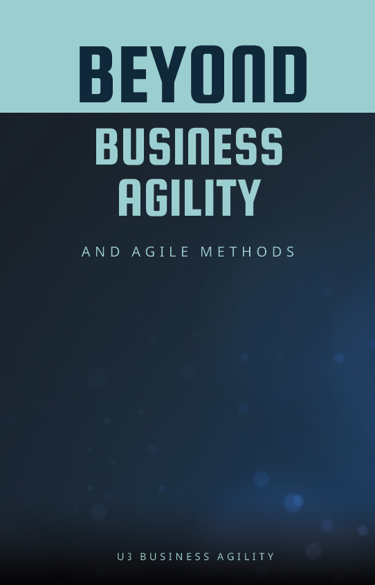 Book: Beyond Business Agility and Agile Methods