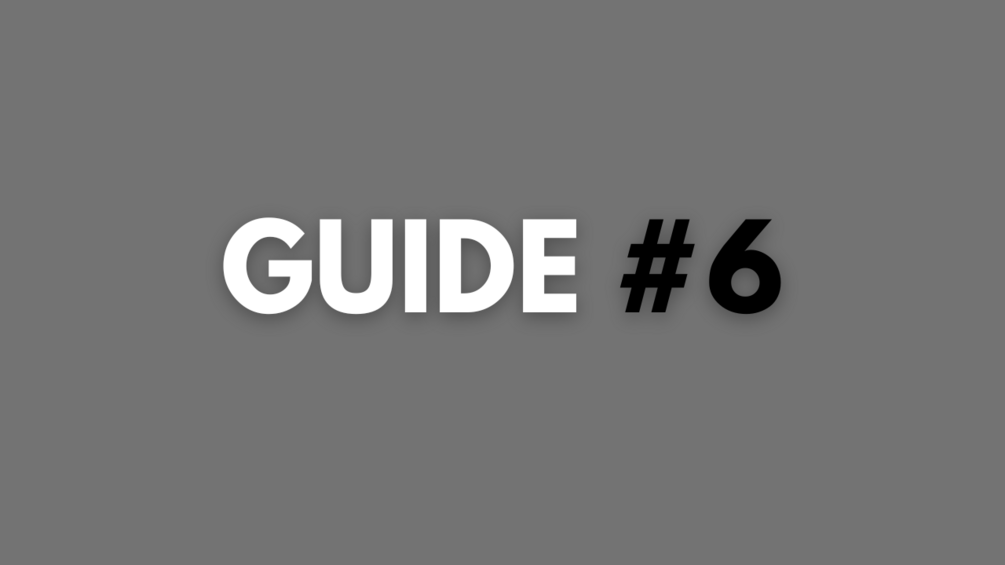 FREE GUIDE #6