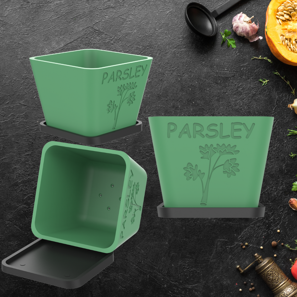 Parsley Pot Planter