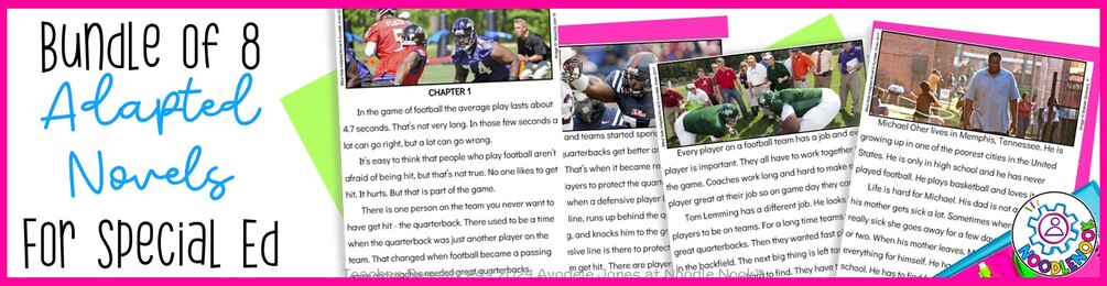 Adapted Novels Bundle (Literature for Special Ed)