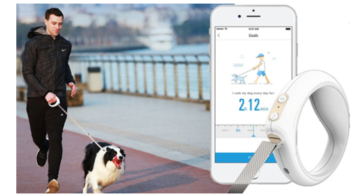 Smart DOG Leash (Hands free and NOW with a LED LIGHT!)