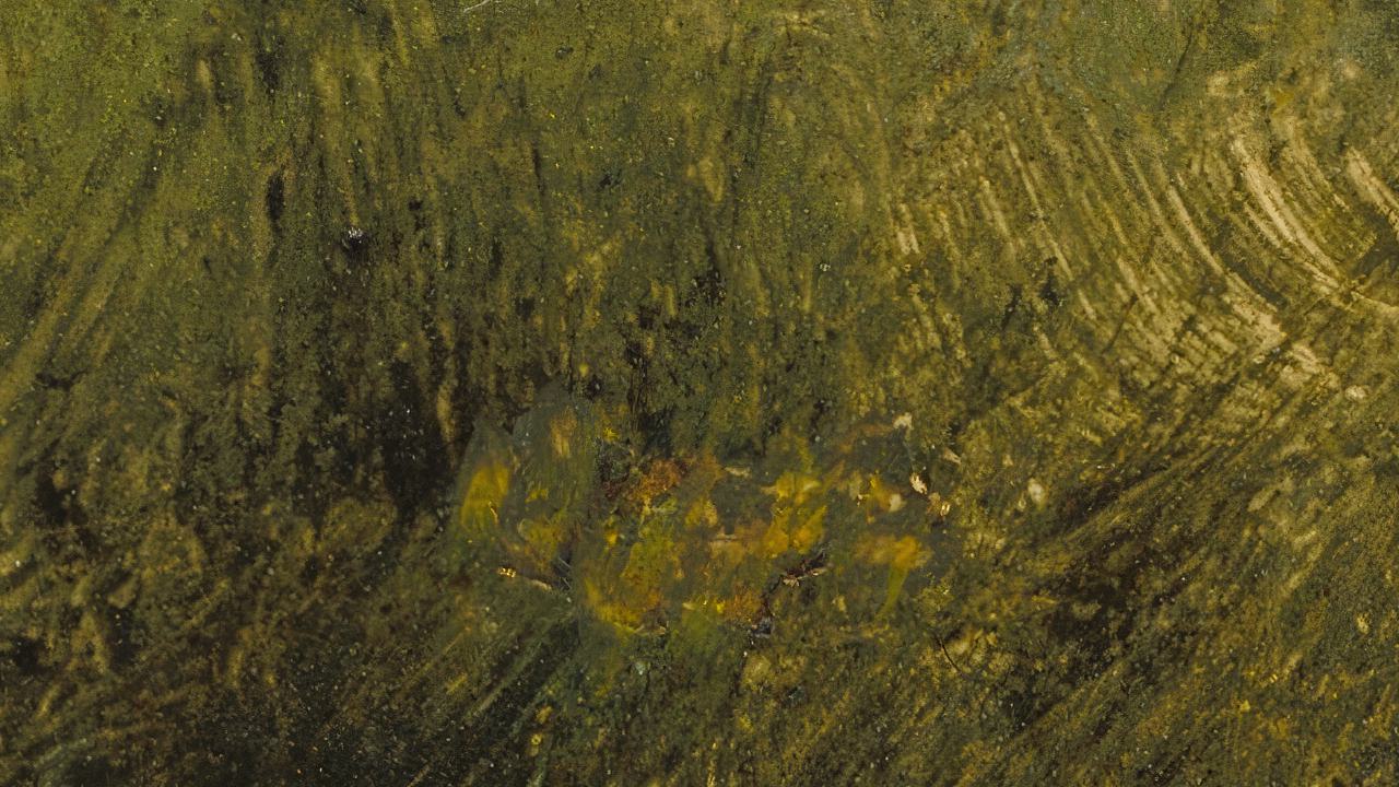 Fallen Tree by Alexandre Calame