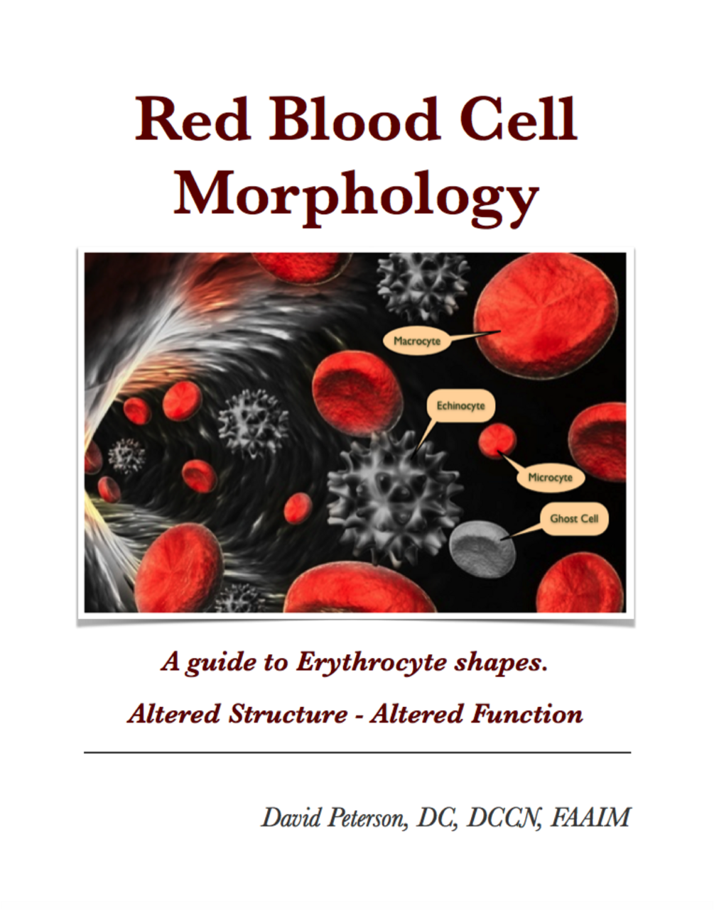 Red Blood Cell Morphology