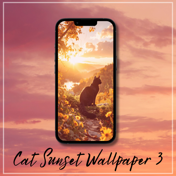 Cat Watching Sunset bundle
