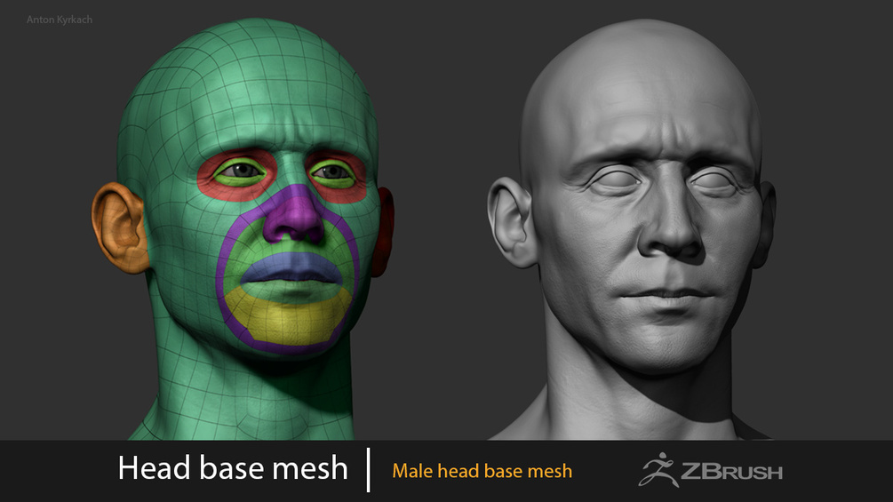 Male head base mesh