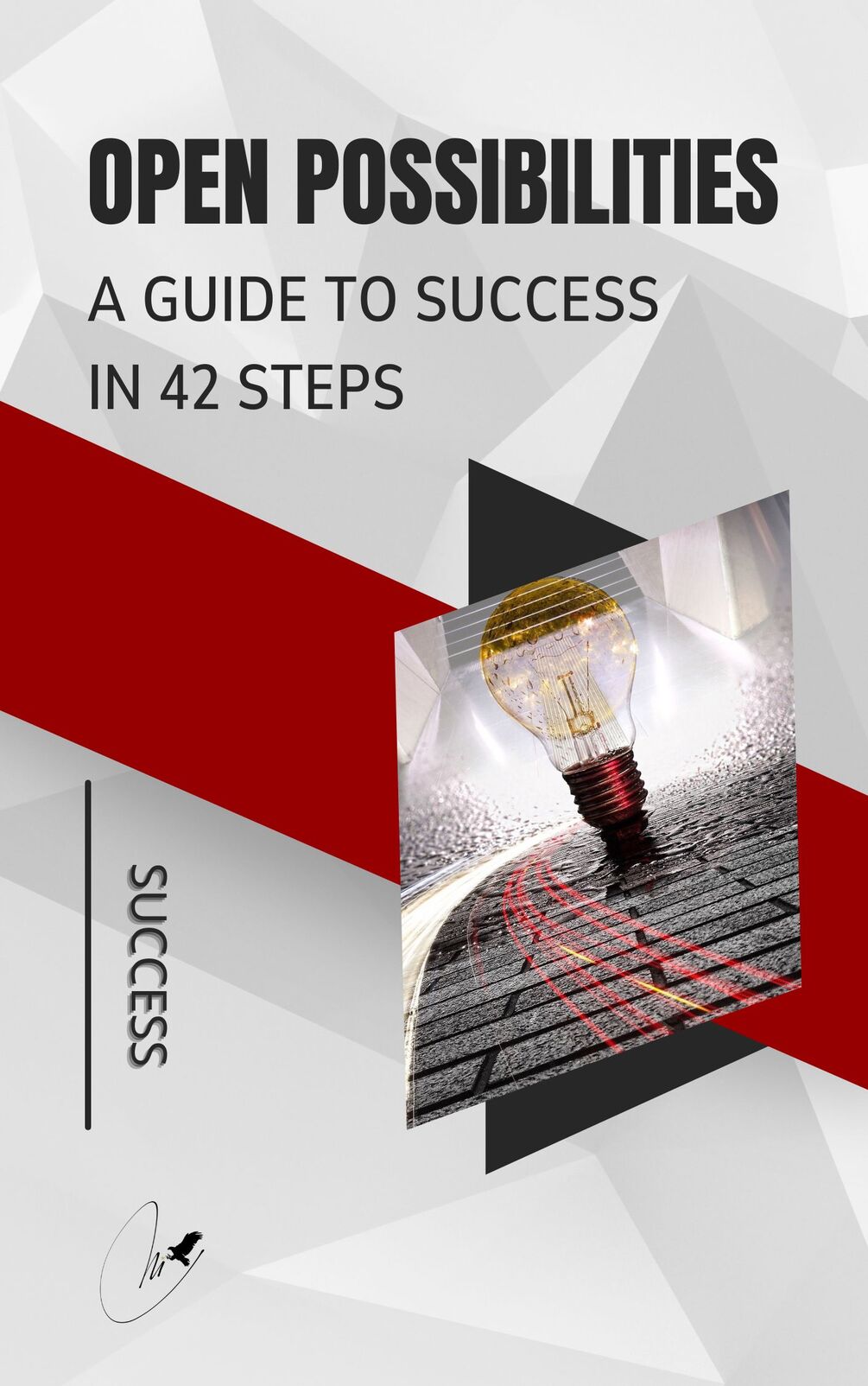 Open Possibilities - A Guide to Success in 42 Steps