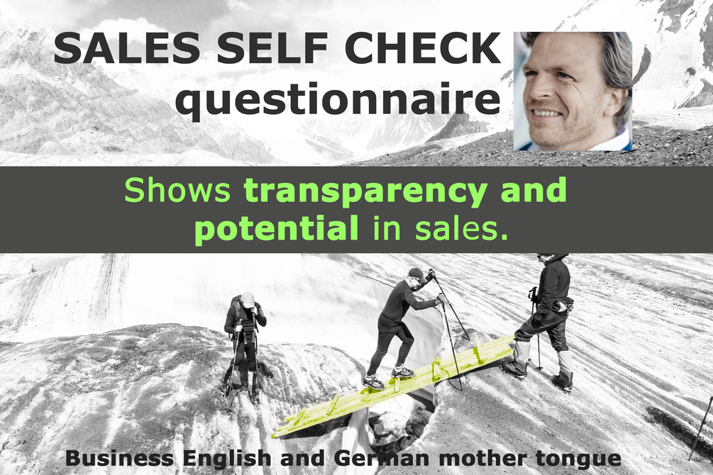 Discover the potential within your sales - questionnaire/calculation ...
